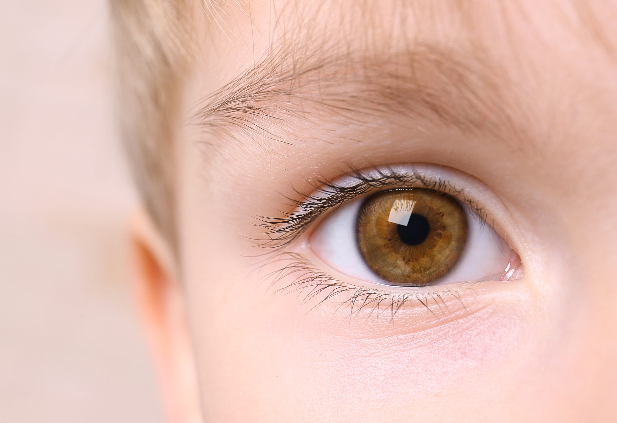 Foreign object in the eye - Montreal Children's Hospital